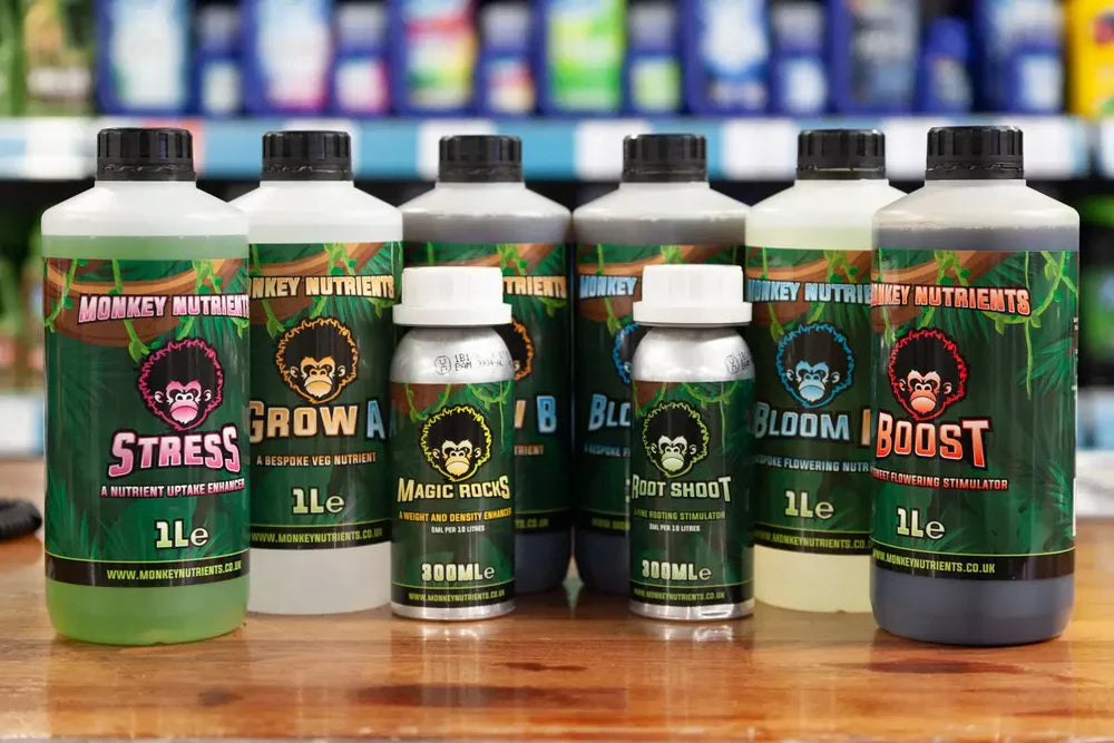 Introducing – Monkey Nutrients (Q&A)