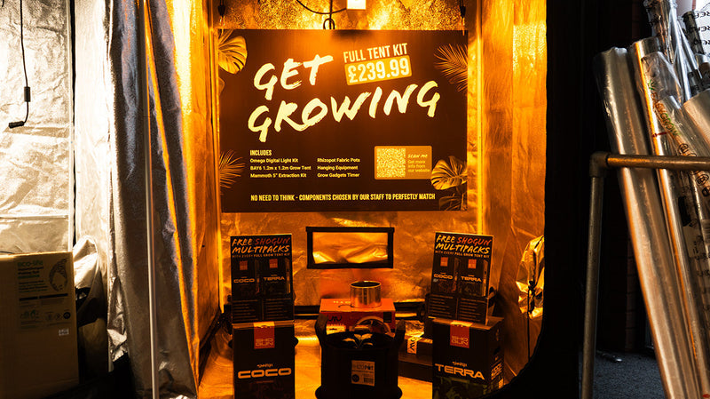 Best Grow Room Conditions for Maximum Yields: Expert Tips