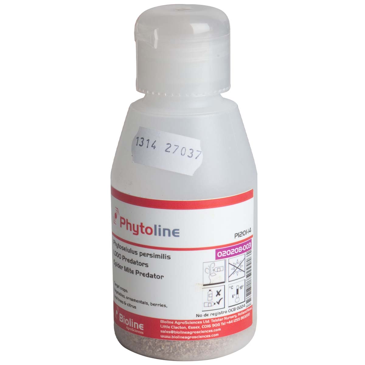 Spider Mite Predators - Phytoline P (Phytoseiulus Persimilis)