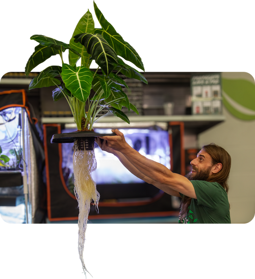 Hydroponics Shop UK: Hydroponics Grow Lights, Tents & Kits | One Stop