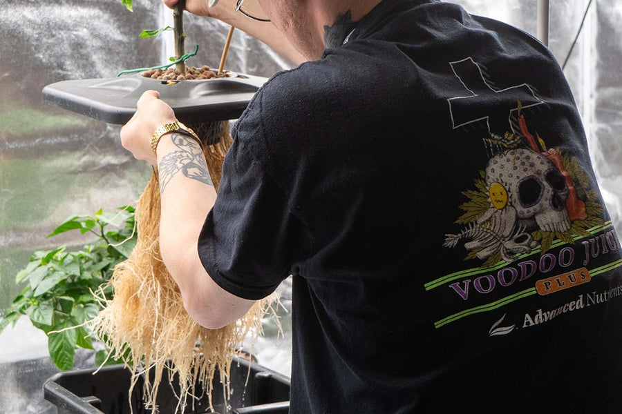 One Stop Grow Shop Cannock